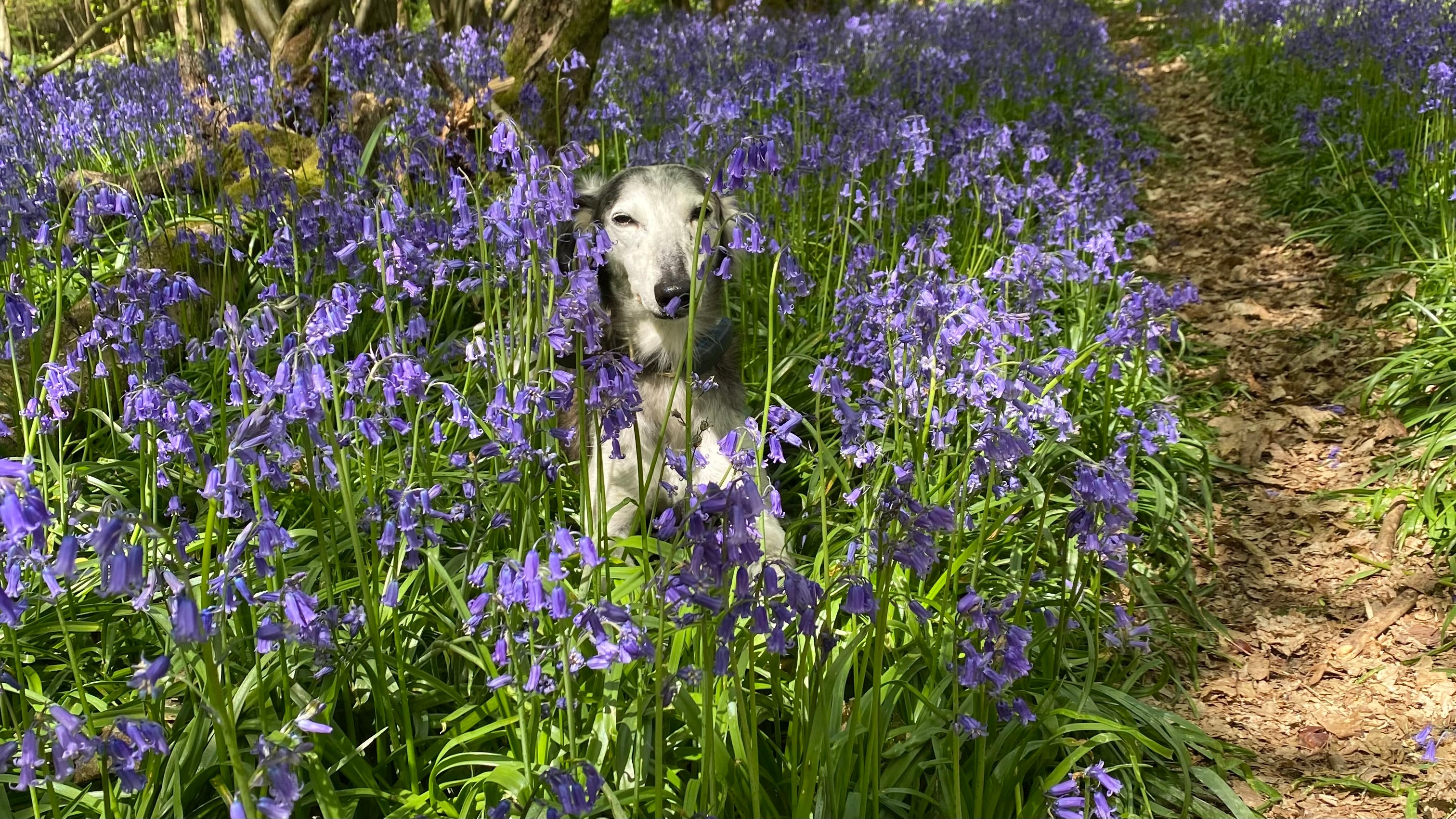 Nature's Reset Button – Hixx Ltd